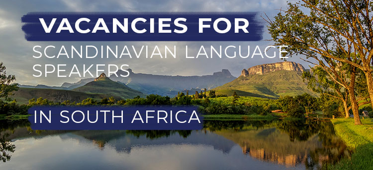 The PLP Group - Vacancies